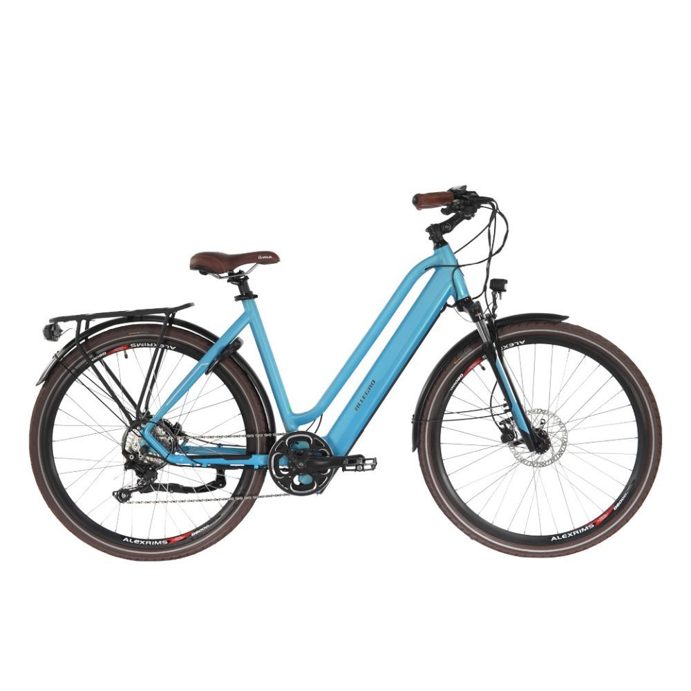 Allegro Invisible Alltour ATIL°03 Lake | Ab CHF 59 | E Bike Schweiz