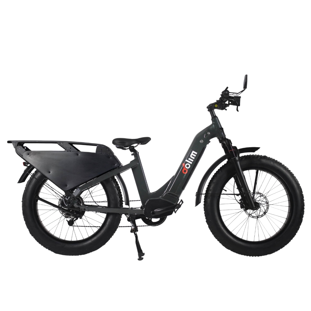Miloo Cargo Beast | E-Bike Schweiz | 0 % Ratenzahlung