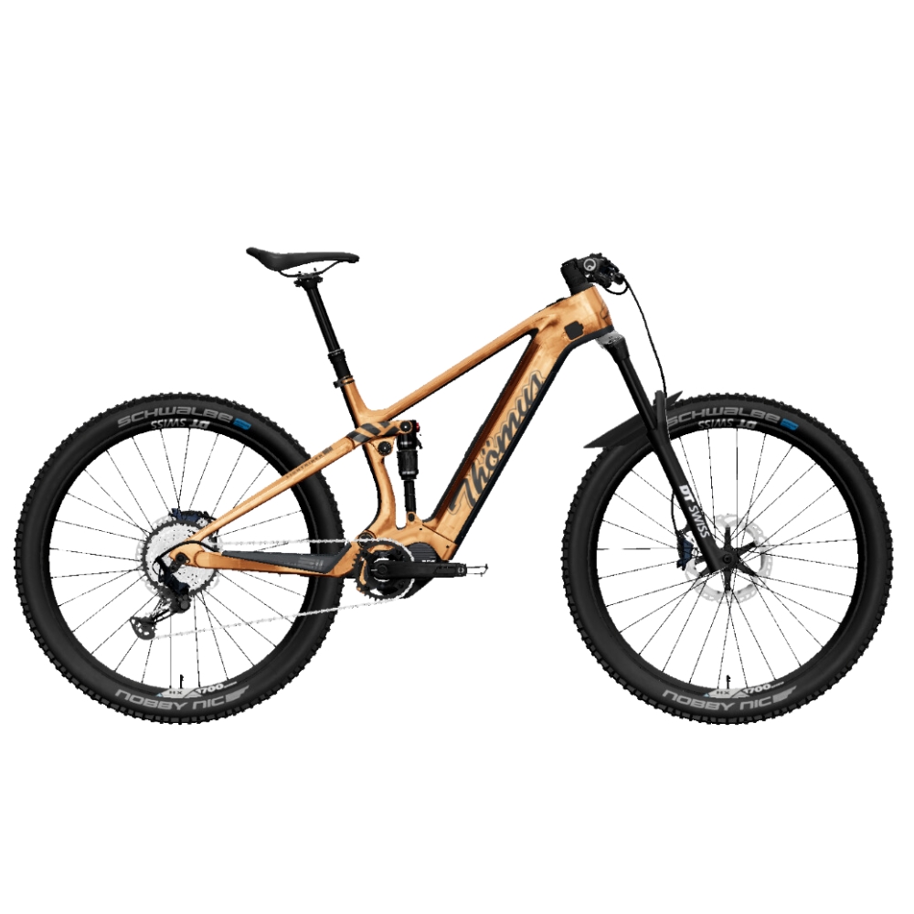 Thömus Lightrider E2 Pro | E-Bike Schweiz | 0 % Zins